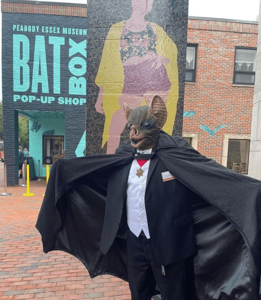 Exploring the Bat Box: Where Art and Nature Converge at the Peabody ...